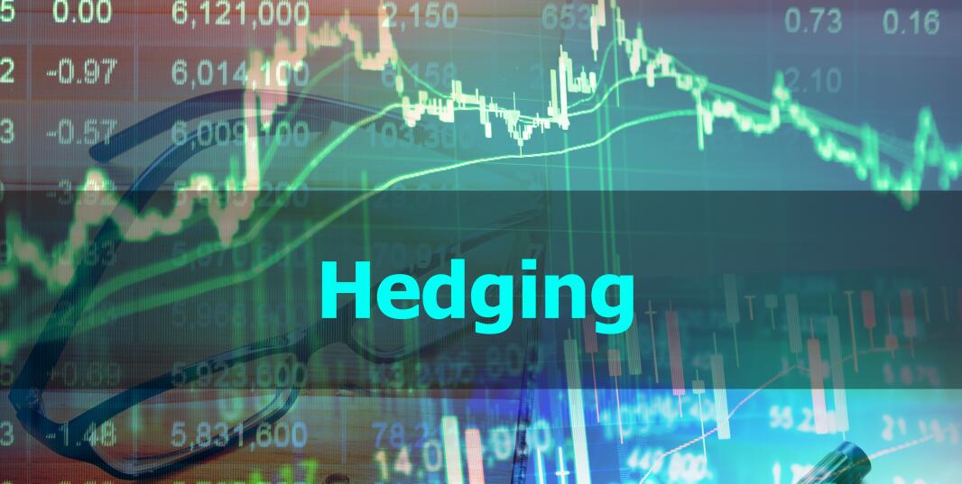 Hedging in Forex: How do Professionals Hedge?